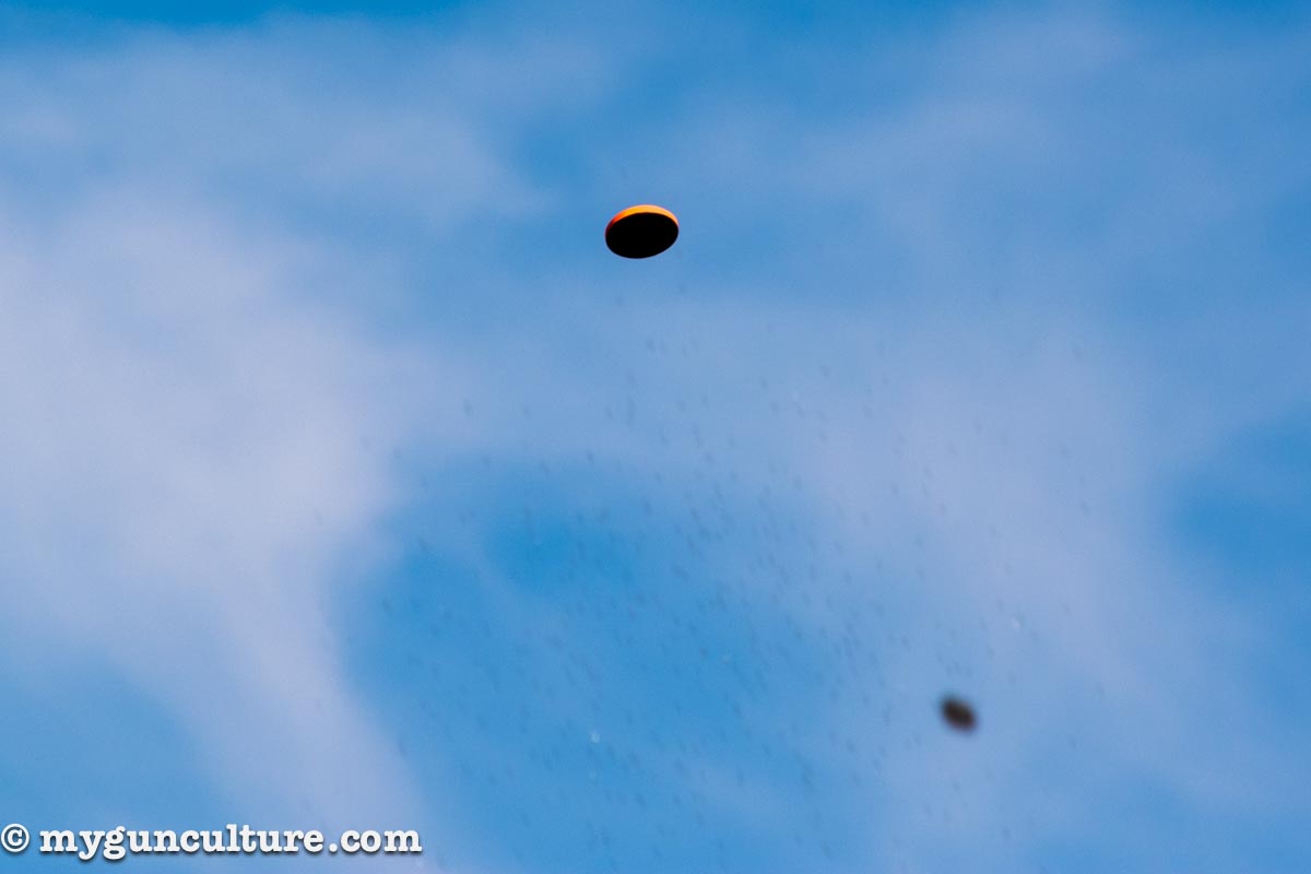 A Cloud of Shotgun Pellets